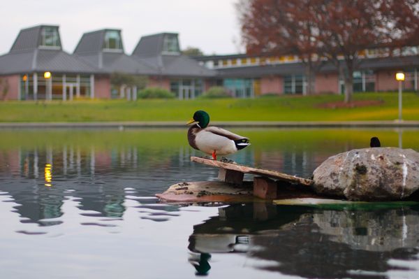 SUNNYVALE COMMUNITY CENTER - Updated September 2025 - 158 Photos & 40 ...