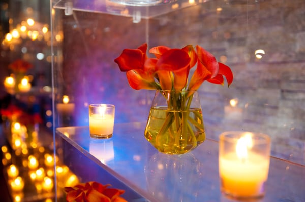 CHLOE COOK EVENTS - Updated December 2025 - 15 Photos - Houston, Texas ...