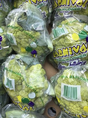 HILO PRODUCTS - Updated June 2025 - 13 Photos - 41 Makaala St, Hilo ...