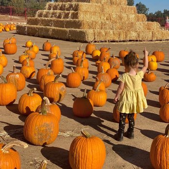 FOWLER RANCH - Updated August 2024 - 15 Photos & 12 Reviews - 3111 Lincoln Newcastle Hwy 193 ...