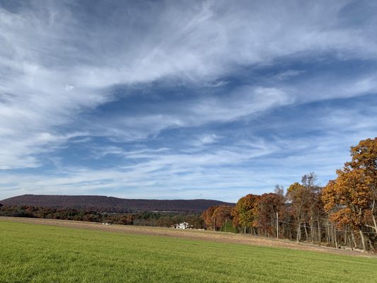 MAYLATH FARM AND ORCHARD - Updated October 2025 - 15 Photos - 608 Rock ...