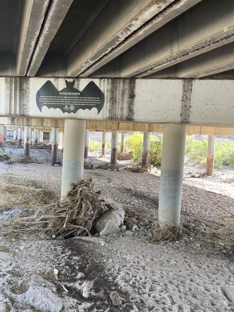 RILLITO RIVER PARK - Updated December 2025 - 42 Photos & 38 Reviews ...