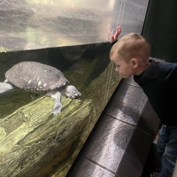 CLEVELAND METROPARKS ZOO - Updated June 2024 - 1105 Photos & 282 ...