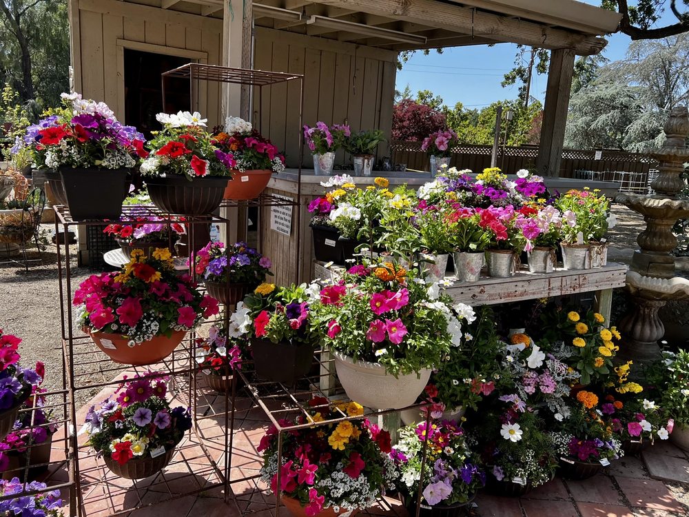 ALDEN LANE NURSERY - Updated October 2024 - 371 Photos & 215 Reviews ...