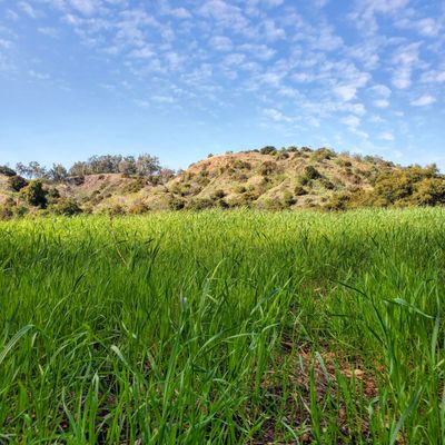 SAN DIMAS CANYON PARK - 87 Photos & 24 Reviews - 1628 Sycamore Canyon ...