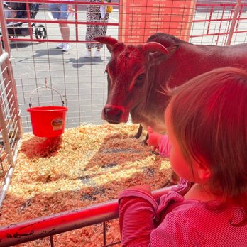 FIESTA HERMOSA - Updated January 2026 - 373 Photos & 129 Reviews ...