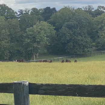 MILL RIDGE FARM - Updated July 2025 - 73 Photos & 16 Reviews - 2800 ...