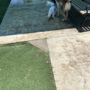 MILANDER AQUATIC CENTER - Updated January 2026 - 4820 Palm Ave, Hialeah ...