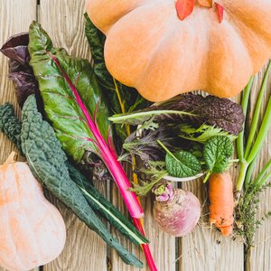 BUSH NECK FARM - Updated December 2025 - 14 Photos - 1502 Bush Neck Rd ...