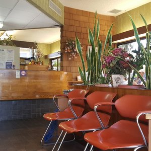 VICENTE RAMO, MD - Updated July 2025 - 634 Kalihi St, Honolulu, Hawaii ...