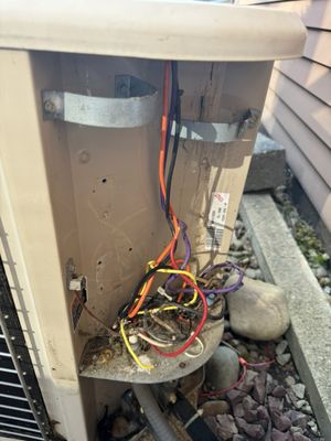 CALFO - Updated January 2026 - 66 Photos - 49 Reviews - 91 Terence Dr ...