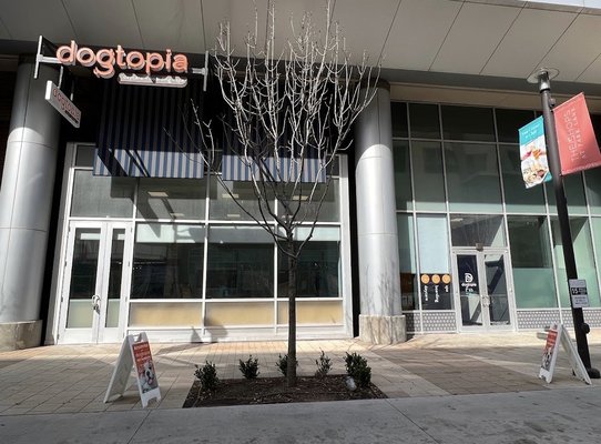 DOGTOPIA- PARK LANE - Updated October 2025 - 13 Photos - 8060 Park Ln ...