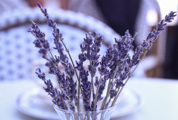 MORNING LAVENDER CAFE - 2633 Photos & 1150 Reviews - 330 El Camino Real ...