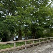 LONG KEY NATURAL AREA & NATURE CENTER - 299 Photos & 32 Reviews - 3501 ...