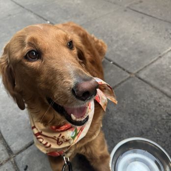 VIA LOCUSTA - Updated July 2025 - 870 Photos & 411 Reviews - 1723 ...