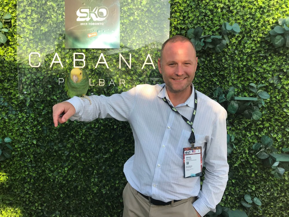 BRAD WILL HELP - El Segundo, California - IT Services & Computer Repair ...