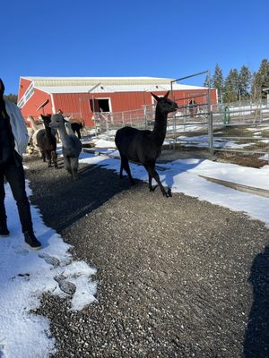 SEVEN STARS RANCH - Updated September 2025 - 168 Photos & 69 Reviews ...