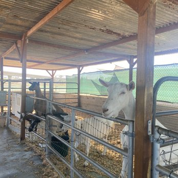 HANA FIELD BY TANAKA FARMS - Updated May 2024 - 326 Photos & 148 ...