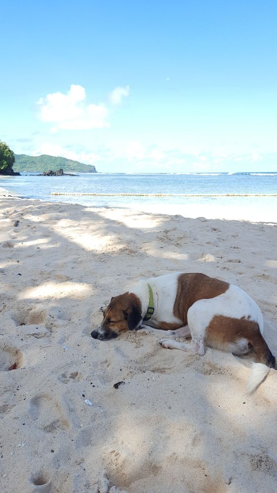 TWO DOLLAR BEACH - Updated December 2025 - 12 Photos - Rte 1, Avaio ...