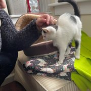 ROSE BRIDGE FARM & SANCTUARY - 112 Photos & 48 Reviews - 1314 N ...