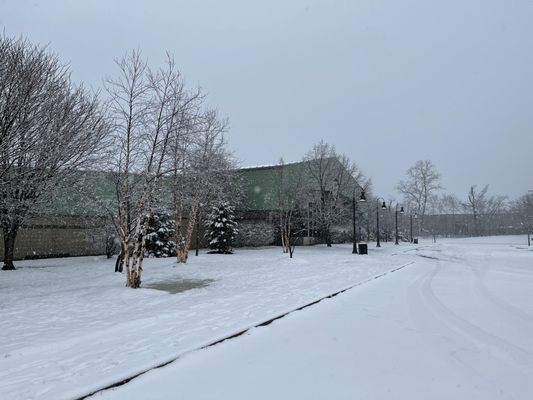 NOVI ICE ARENA - Updated October 2025 - 19 Photos & 16 Reviews - 42400 ...