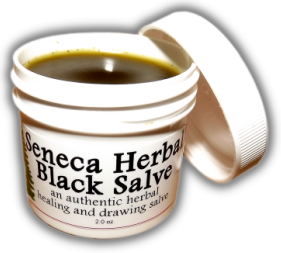 SENECA SALVE - Updated January 2026 - 16 Widrig Ave, Jamestown, New ...