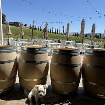 HALTER RANCH TEMECULA - Updated October 2024 - 91 Photos & 45 Reviews ...