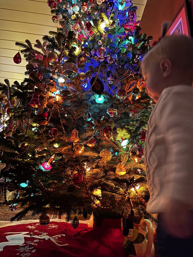 RAPETTI FARMS - Updated January 2026 - 11 Photos & 15 Reviews - 2585 ...