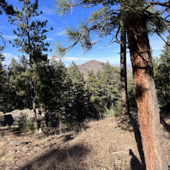 MOUNT FALCON PARK - Updated September 2025 - 395 Photos & 98 Reviews ...