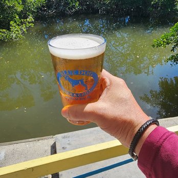 BLUE DOG BAR & GRILL - Updated December 2025 - 681 Photos & 740 Reviews ...