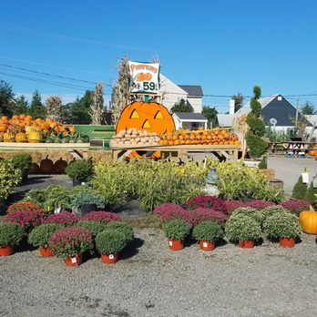 NALLS PRODUCE - Updated August 2025 - 394 Photos & 138 Reviews - 7310 ...