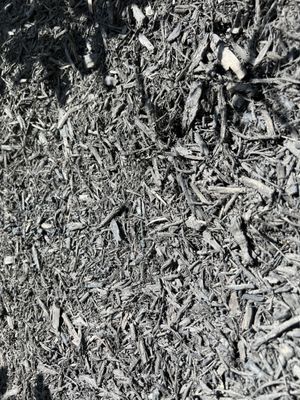 FRANKLIN AUTO SPA - Updated September 2025 - 37 Photos & 95 Reviews ...