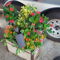 TRINI SPICE CUISINE & EVENTS - Updated August 2024 - 67 Photos & 30 ...