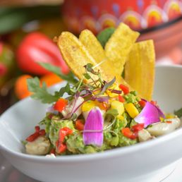 MOLE MEXICAN KITCHEN - Updated October 2025 - 346 Photos & 333 Reviews ...