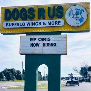 DOGS R US - 50 Photos & 144 Reviews - 4200 S Washington Ave, Titusville ...