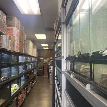 REPTILE ISLAND - Updated June 2024 - 261 Photos & 182 Reviews - 7157 ...