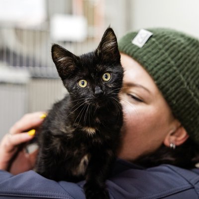 PET NETWORK COMMUNITY HOSPITAL - Updated October 2025 - 401 Village ...