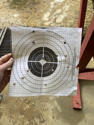 37 PSR GUN CLUB - Updated January 2026 - 10 Photos - 1333 Loop Rd ...