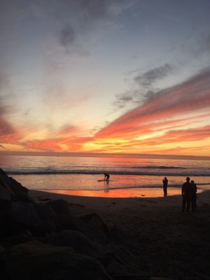 BUCCANEER BEACH - Updated November 2024 - 102 Photos & 43 Reviews ...
