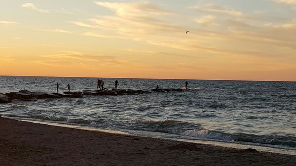 CAHOON MEMORIAL PARK - Updated March 2025 - 22 Photos - 27340-27598 ...