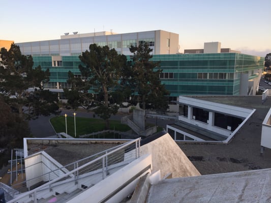 SFSU - J. PAUL LEONARD LIBRARY - Updated October 2025 - 62 Photos & 53 ...