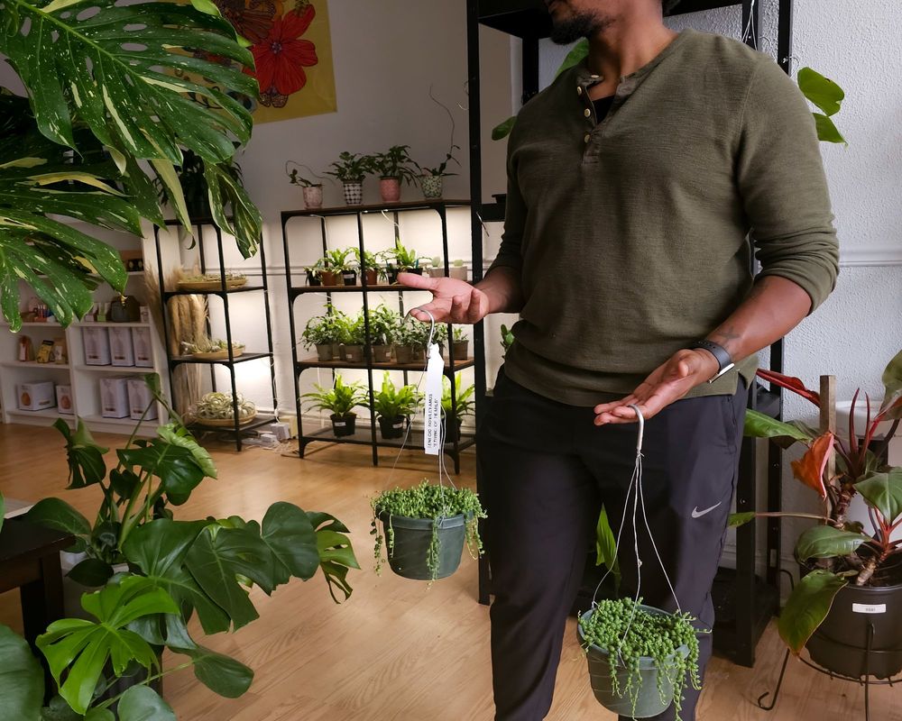 SNAKEROOT BOTANICALS - Updated October 2025 - 36 Photos & 14 Reviews ...