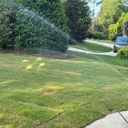 Super-Sod Reviews | Read Customer Service Reviews of supersod.com