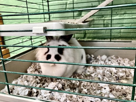 UPPER MAIN LINE BRANCH YMCA - Updated December 2025 - 76 Photos & 35 ...