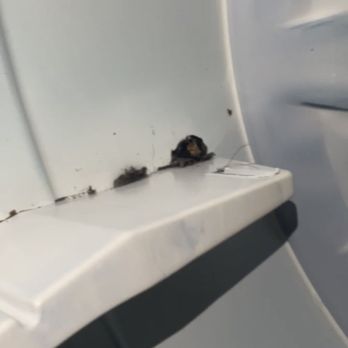 REDPOINT GAINESVILLE - Updated December 2025 - 43 Photos & 38 Reviews ...