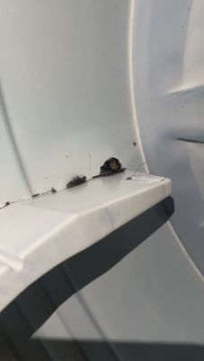 REDPOINT GAINESVILLE - Updated December 2025 - 43 Photos & 38 Reviews ...