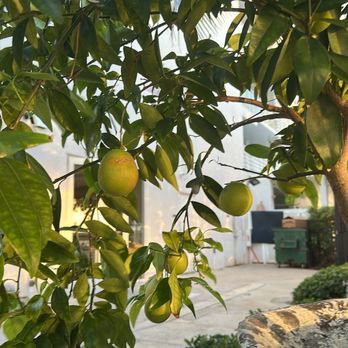 PAMPLEMOUSSE BY THE BAY - Updated August 2025 - 171 Photos & 16 Reviews ...