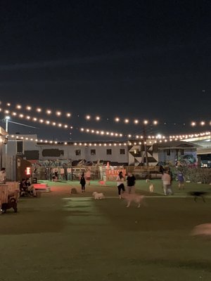 FETCH PARK - 235 Photos & 147 Reviews - Dog Parks - 520 Daniel St SE ...