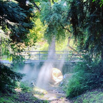 UCR BOTANIC GARDENS - Updated March 2025 - 643 Photos & 128 Reviews - 1 ...