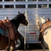 D BAR M WESTERN STORE - 27 Photos & 28 Reviews - 1020 E 4th St, Reno ...